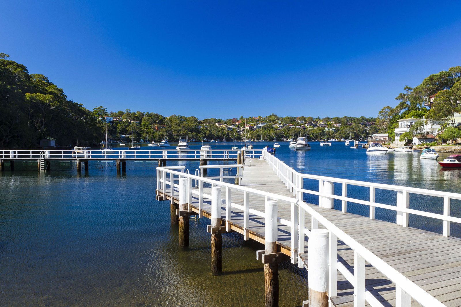 Gymea Bay - Suburb Profiles - Highland
